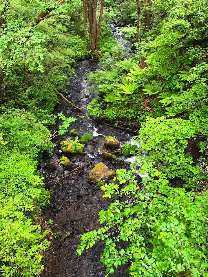La cascada que devuelve a los dragones y el hotel Mikasa – Kirai – Un ...